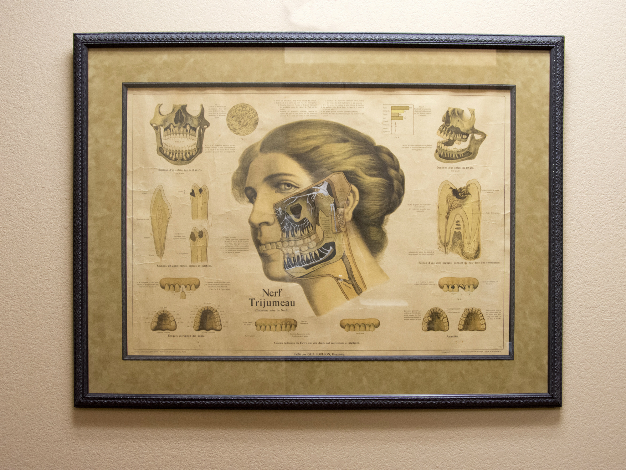 Dr. Coke's Antique Collection Allen TX, Christine J. Coke, DDS, MD, PA